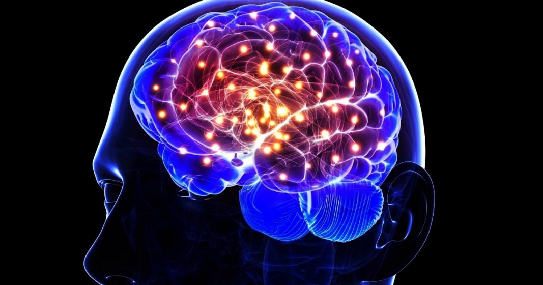 IBDCI Kidstart Official Web – Official Website of International Brain ...